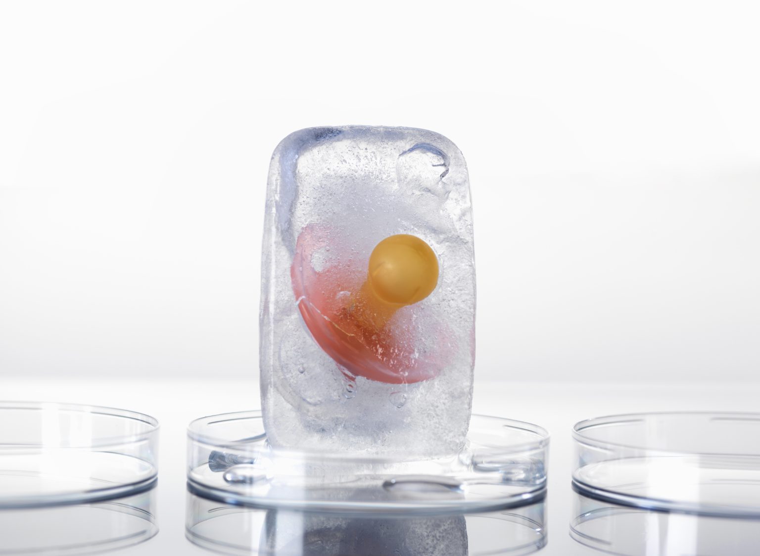 Egg Freezing: What You Need to Know | Fertility Partnership – Fertility ...