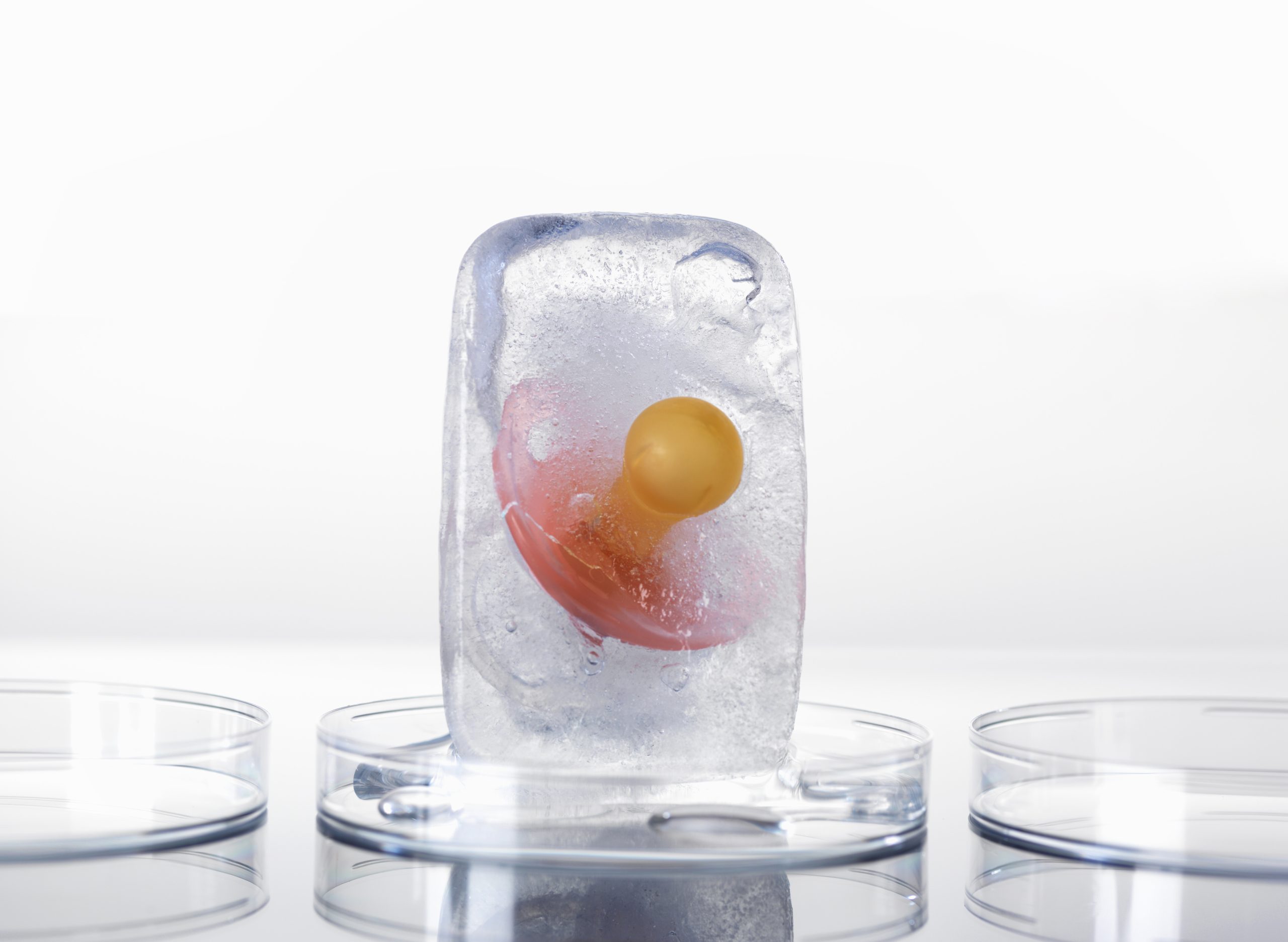 Egg Freezing: What You Need to Know | Fertility Partnership – Fertility ...